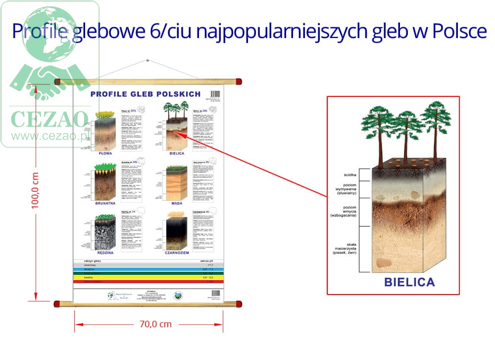 Profile gleb polskich - plansza 70x100, Oprawa wałki drewniane, system ...